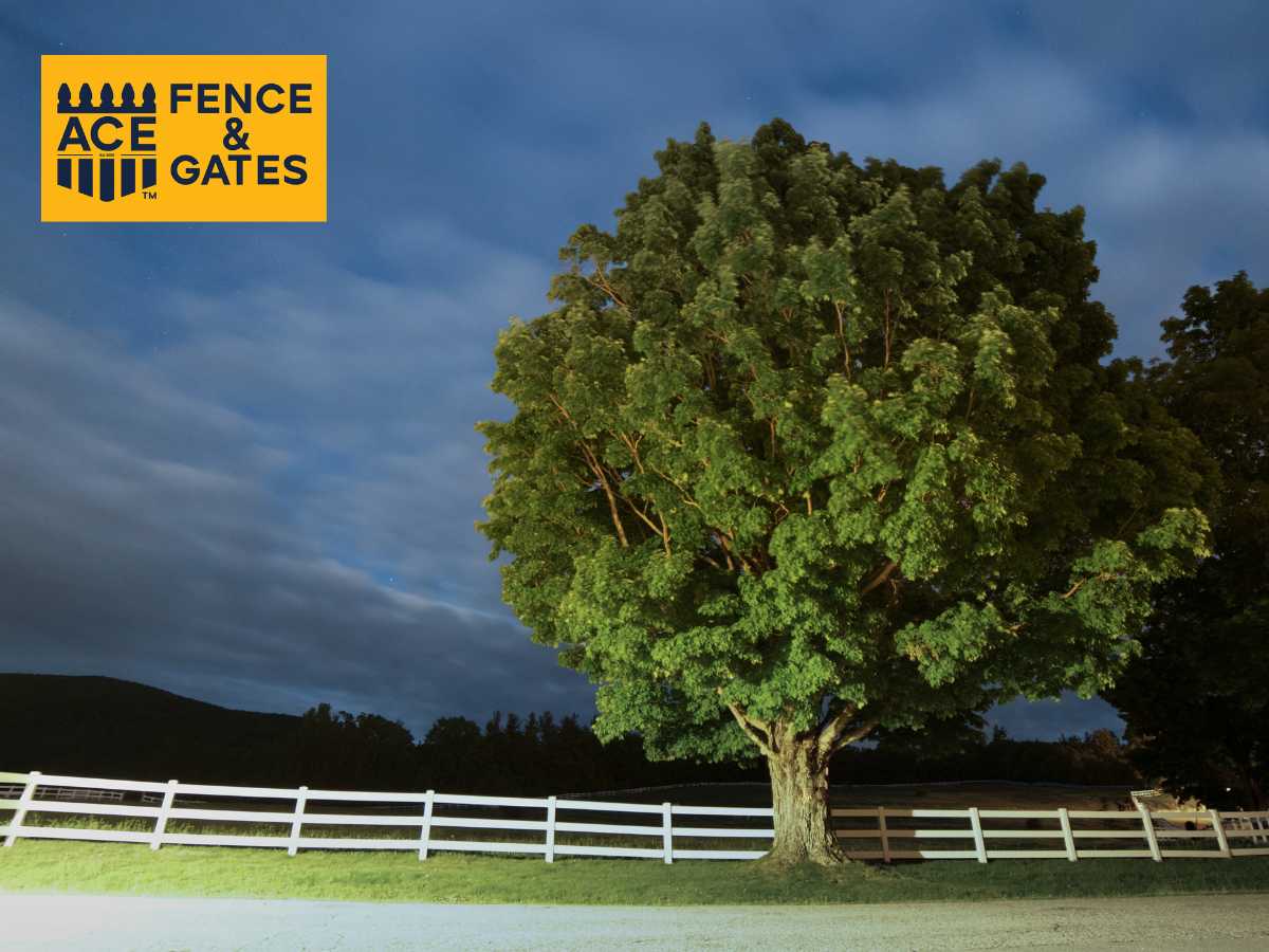 Expert Tips for Successful Installation and Protection